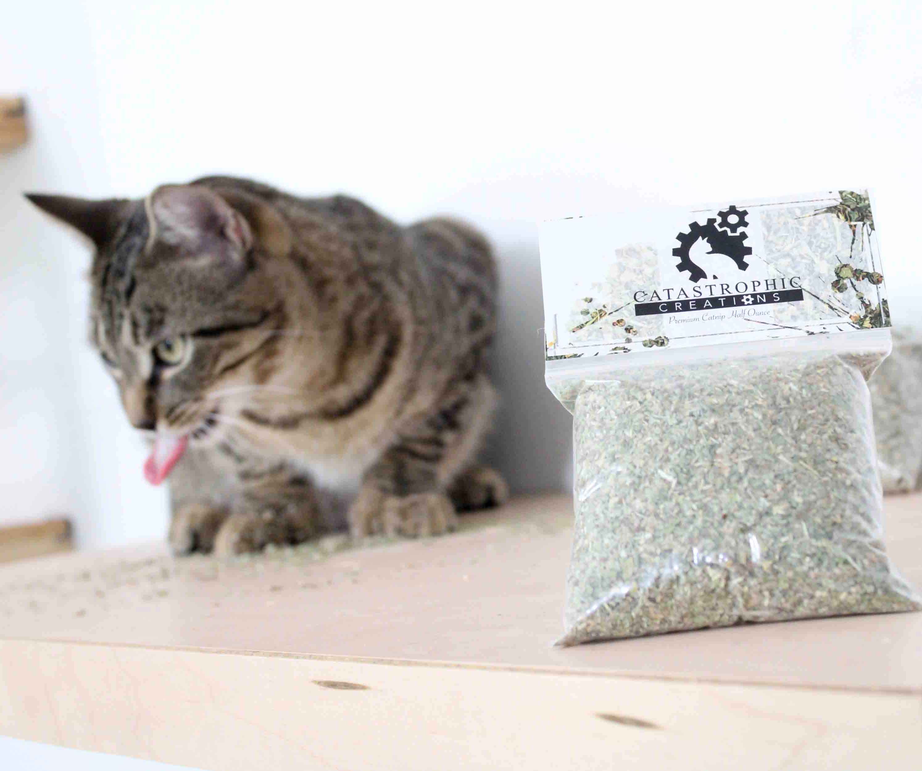 Best Catnip for Cats - Buy Catnip Online