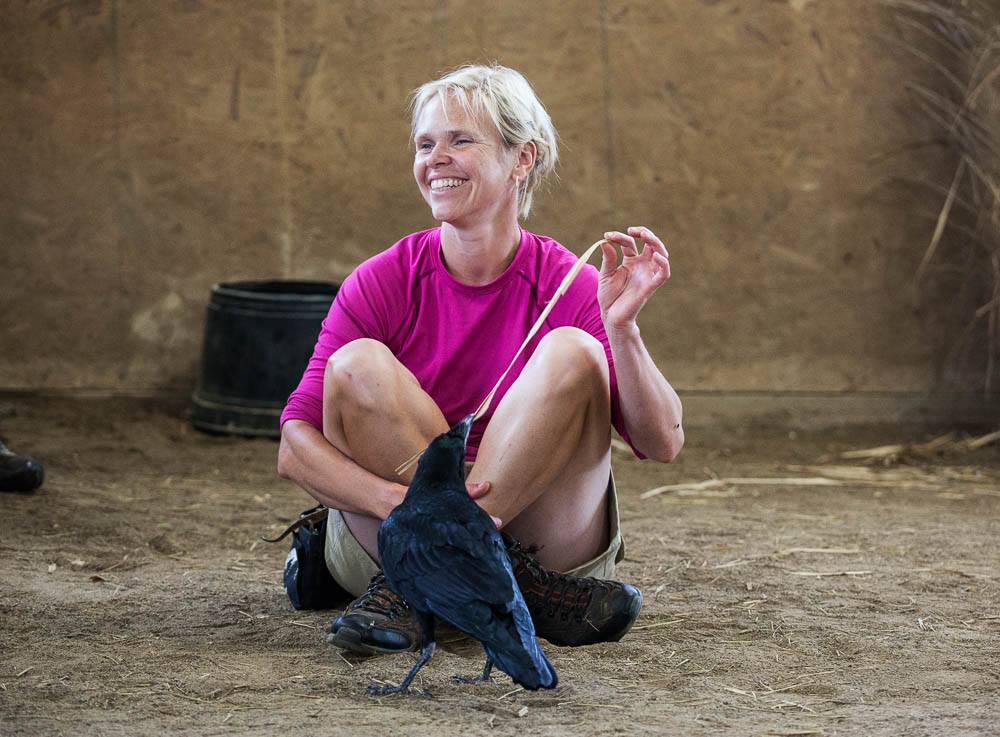 Victoria Blais | Feline Behavior and Training Specialist