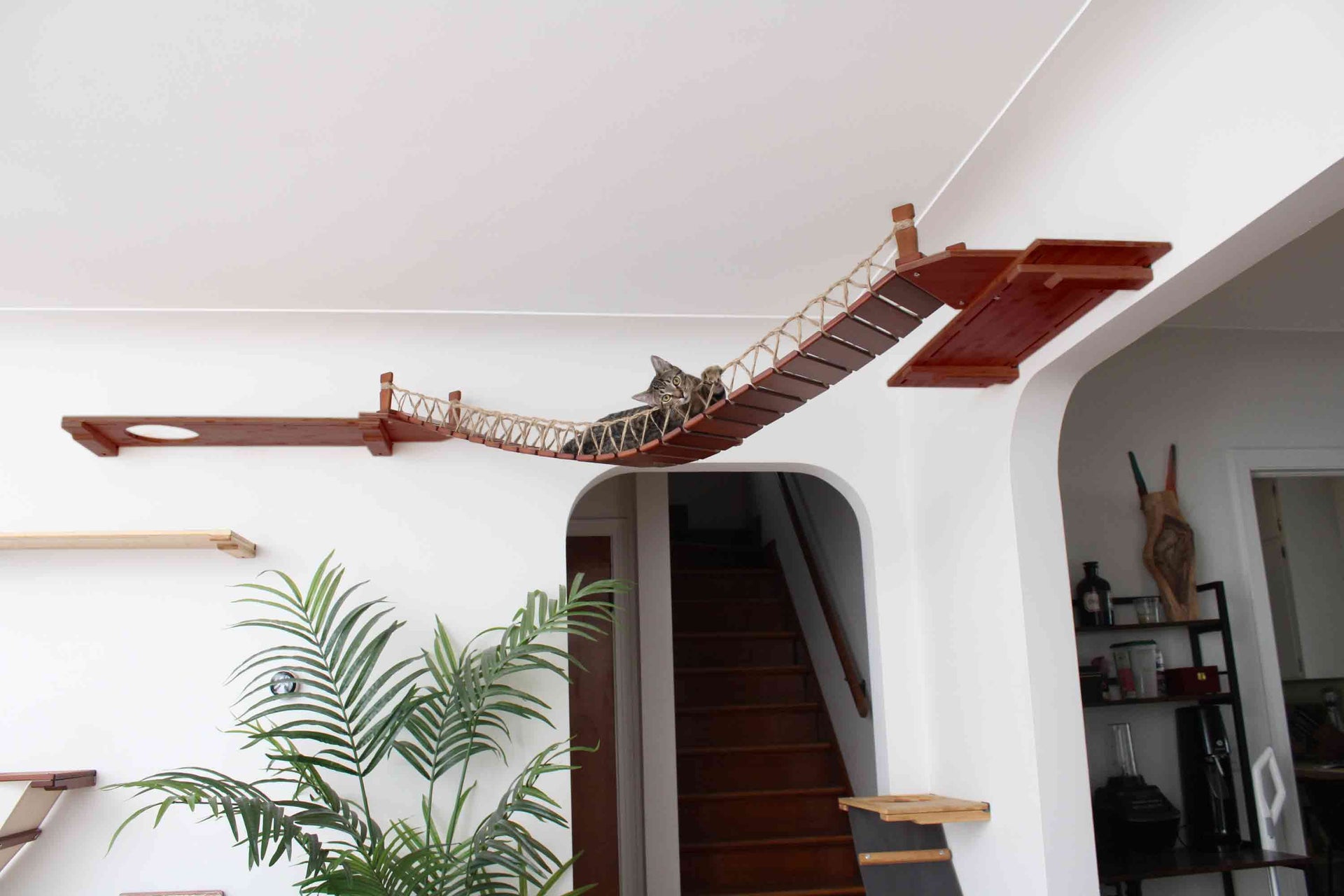 The Corner Cat Bridge