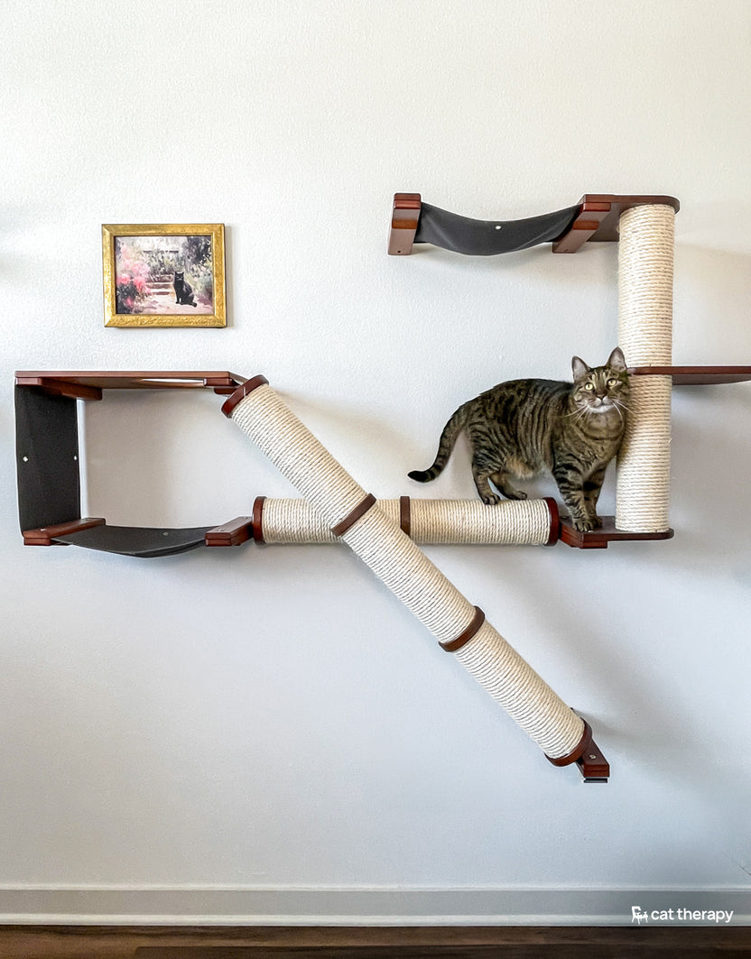 How to Build the Best Cat Playground & Jungle Gym