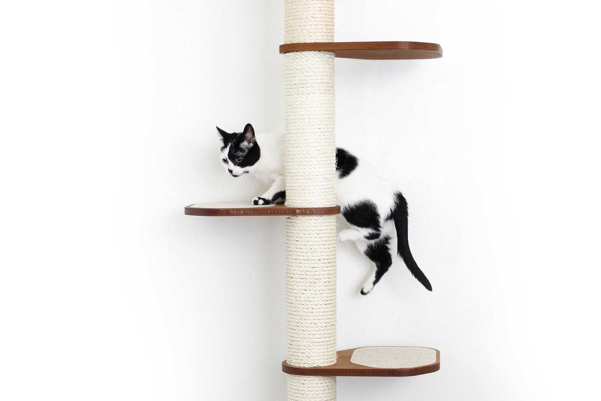 The Crow's Nest: High, Tall Cat Tree/Scratcher w/ Hammock