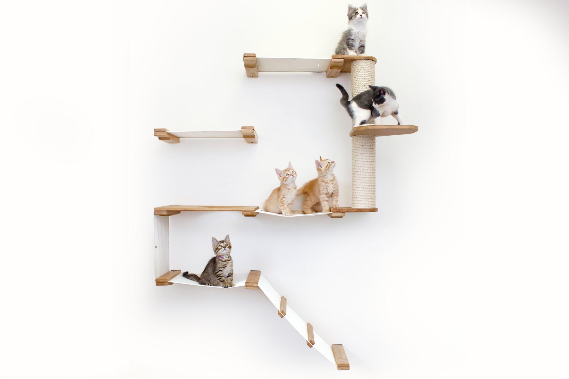 Deluxe Fort | Modern Cat Condo Wall | Catastrophic Creations