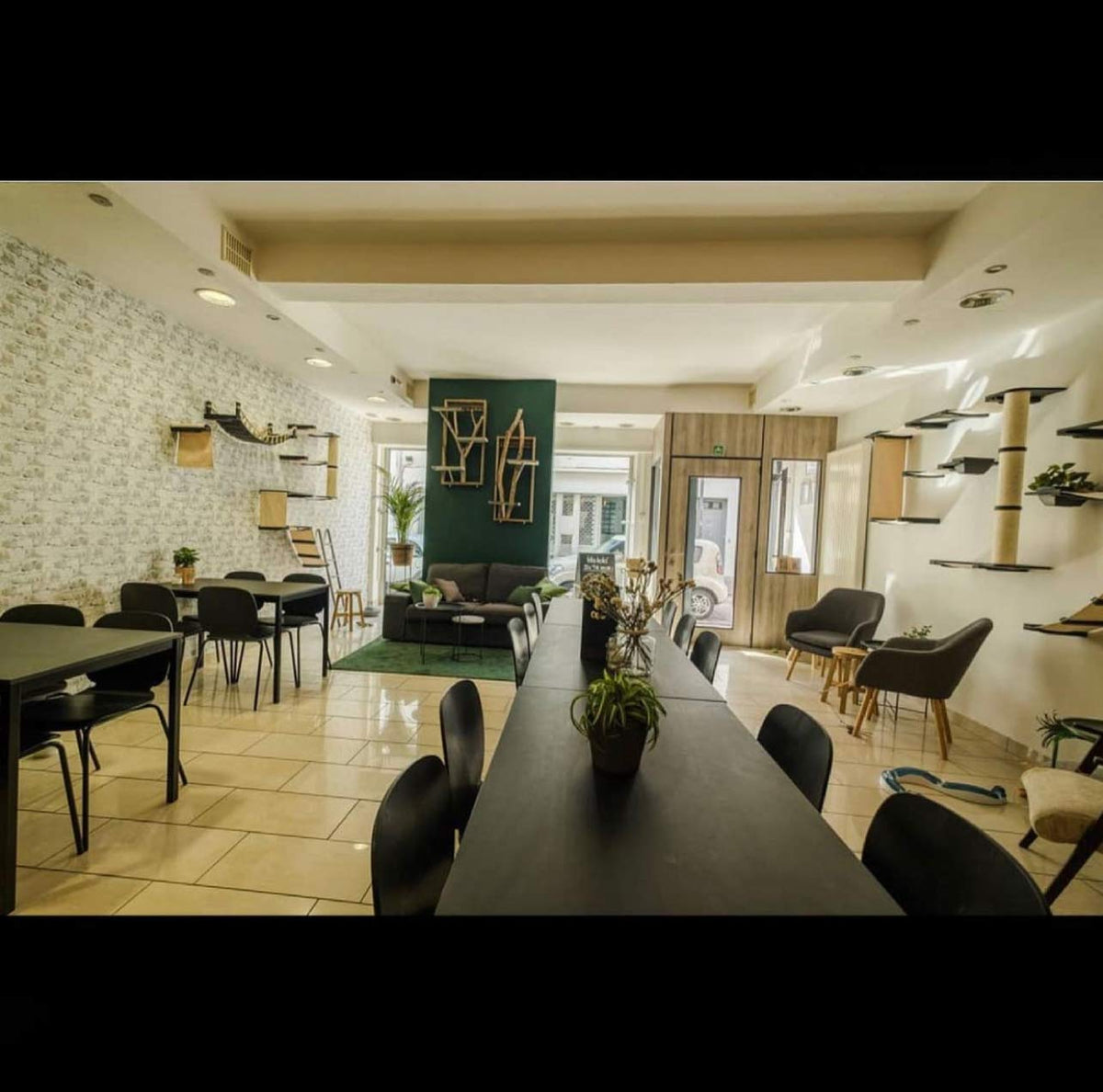 Modern Cat Furniture to Create the Perfect Cat Playground