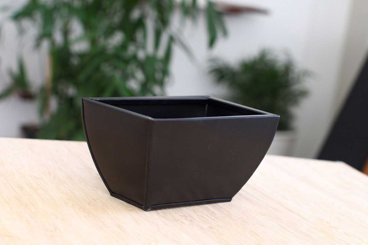 Cat Plant Stand for Wall