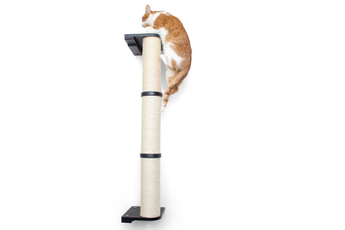 Wall-Mounted Cat Scratching Pole | Catastrophic Creations