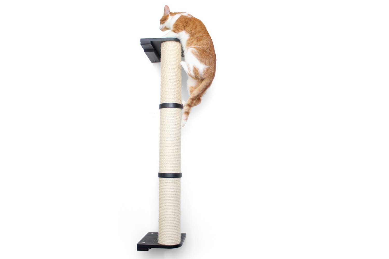 Wall-Mounted Cat Scratching Pole | Catastrophic Creations