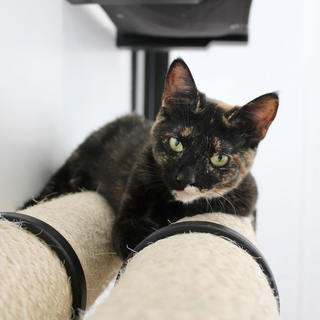 Horizontal Scratching Post | Flat Cat Scratch Pole