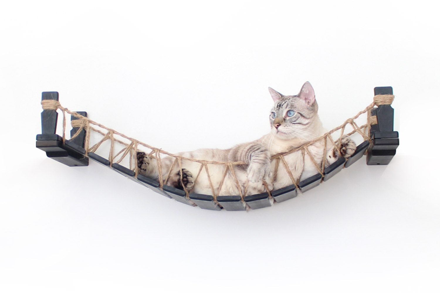 Wall-Mounted Cat Bridge | Catastrophic Creations