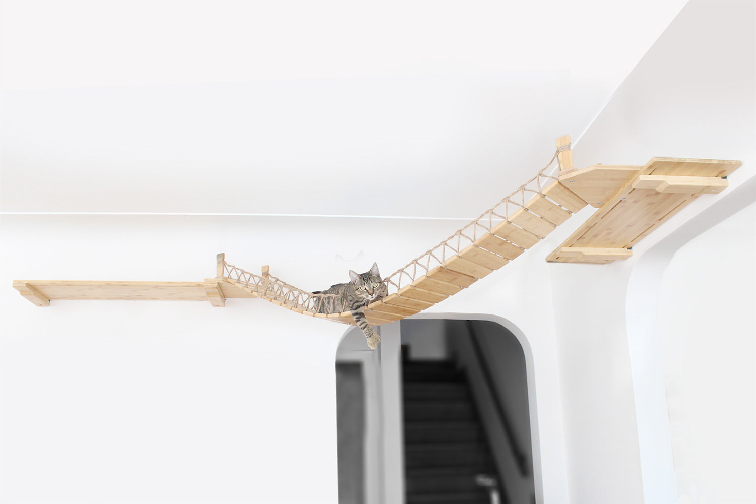 Corner Cat Shelf Bridge