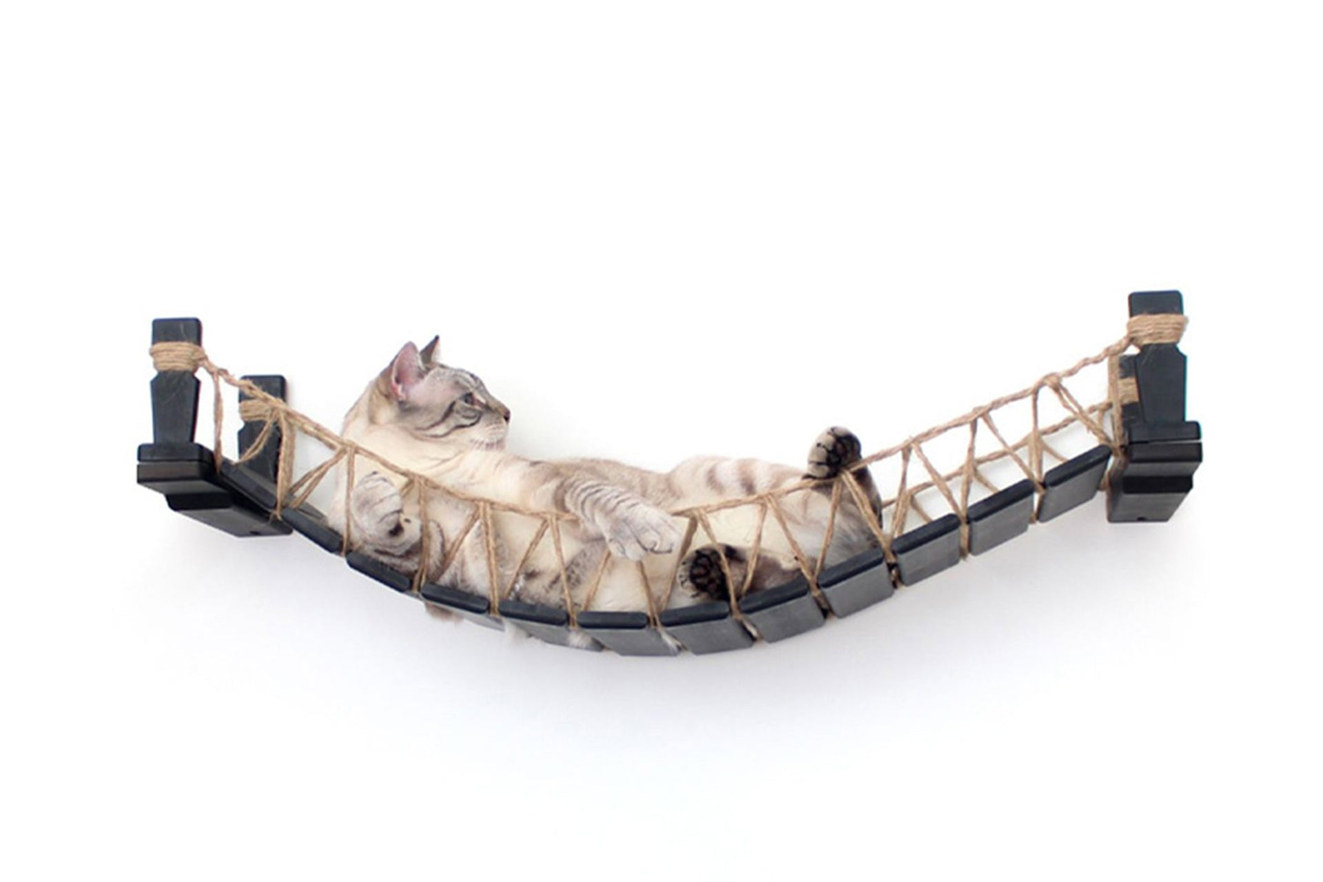 Wall-Mounted Cat Bridge | Catastrophic Creations