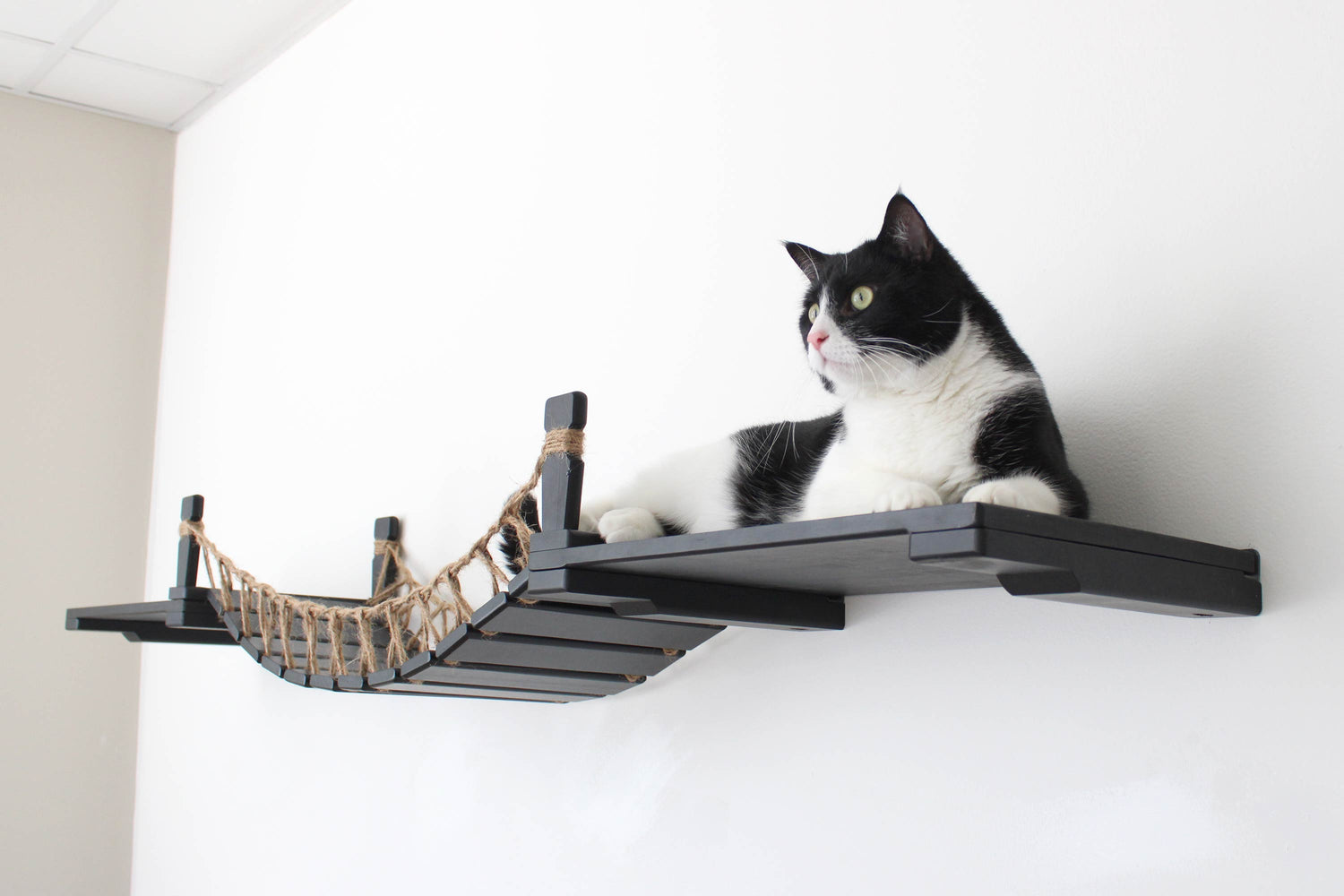 Cat Bridges for Wall | Catastrophic Creations