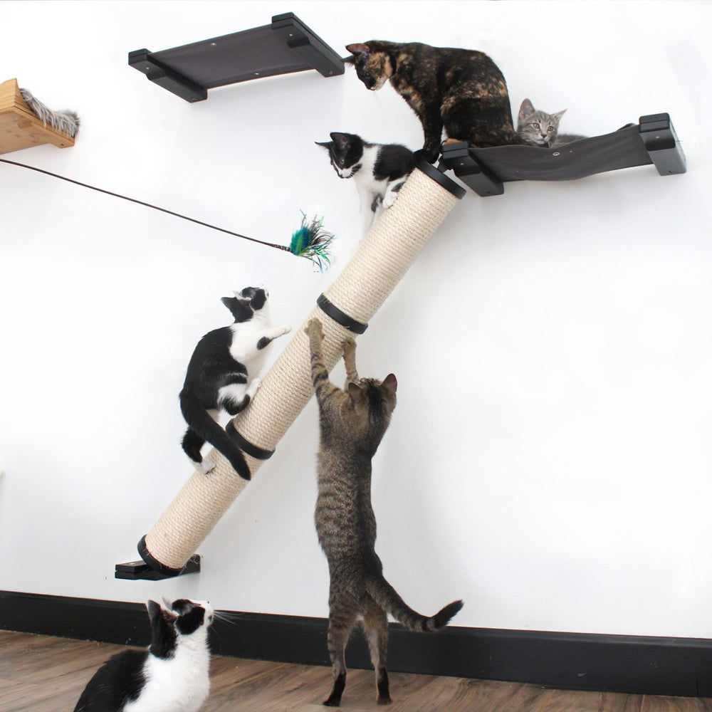 Slanted Cat Scratcher Post Cat Climber | Catastrophic Creations