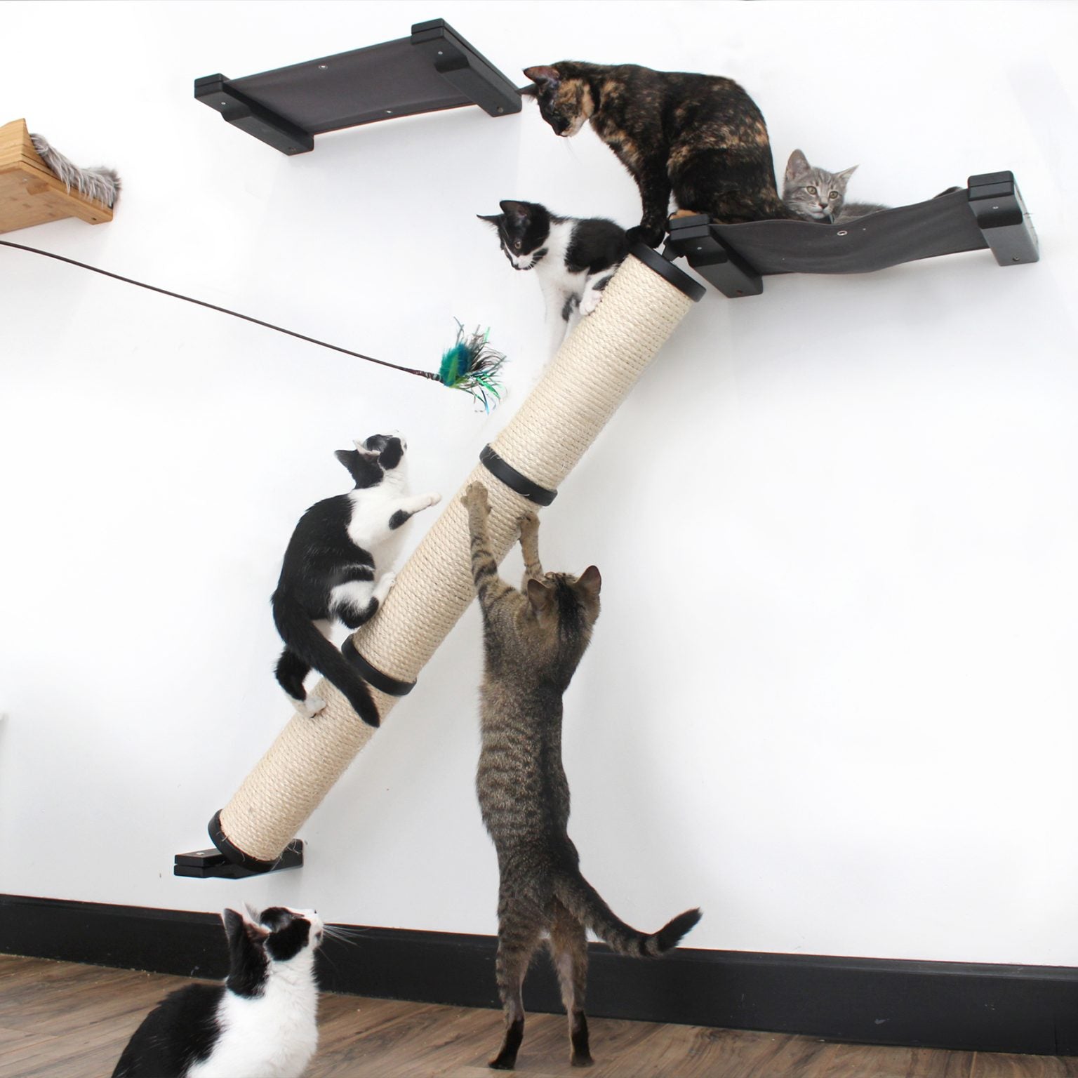 Slanted Cat Scratcher Post Cat Climber | Catastrophic Creations