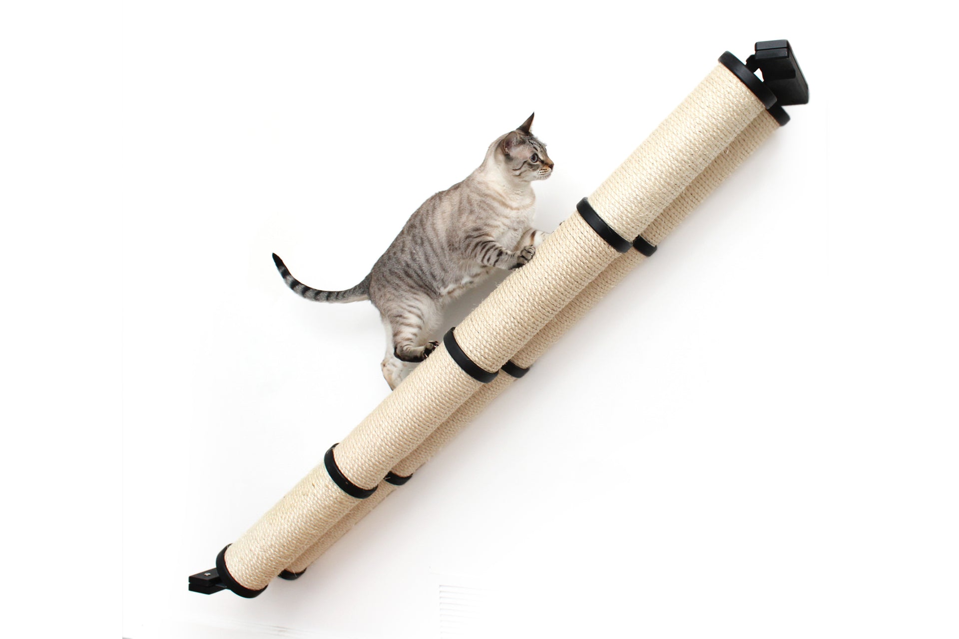 Slanted Cat Scratcher Post Cat Climber | Catastrophic Creations