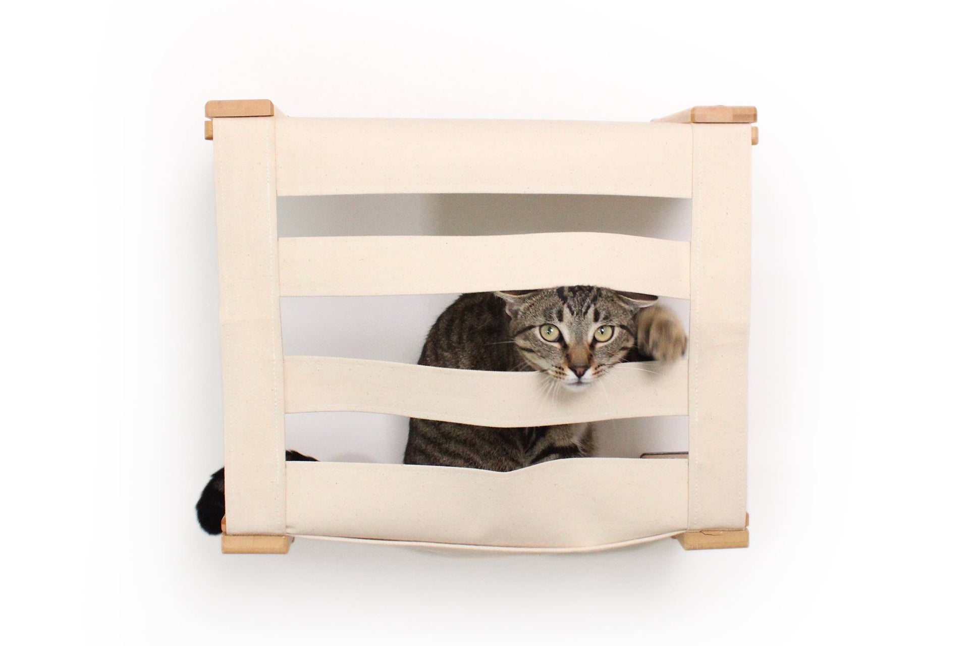 Cat Wall Cubby | Enclosed Cat Bed | Catastrophic Creations