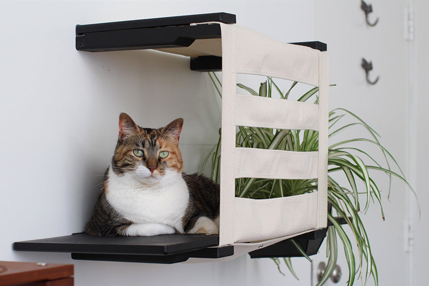Deluxe Cat Cubby Bed (Calming Cat Bed)