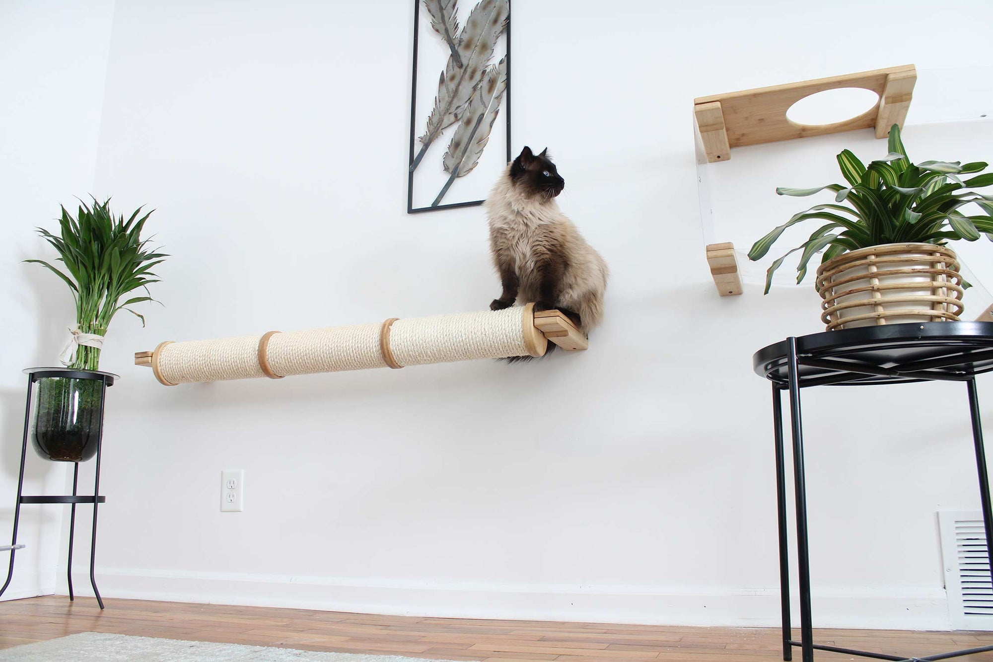Horizontal Scratching Post | Flat Cat Scratch Pole