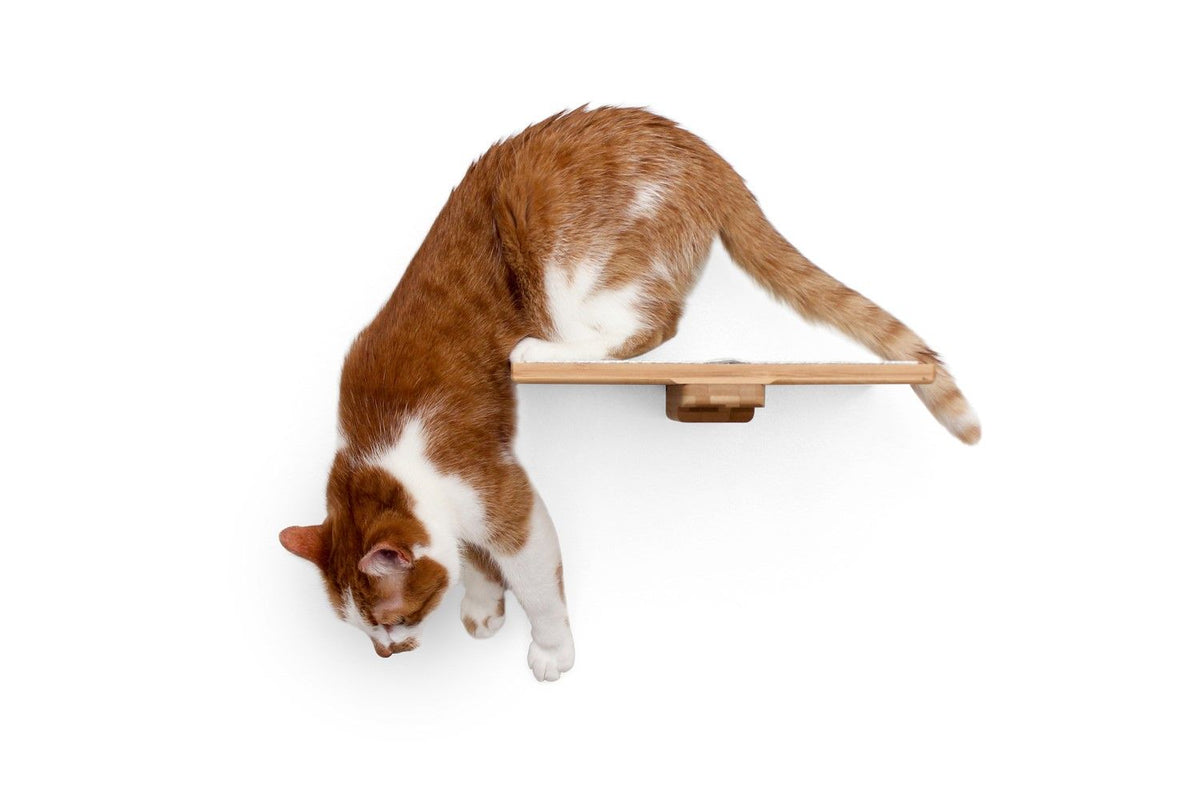 Cat Perch (Shelf) for Wall: Indoor, For Large & Small Cats