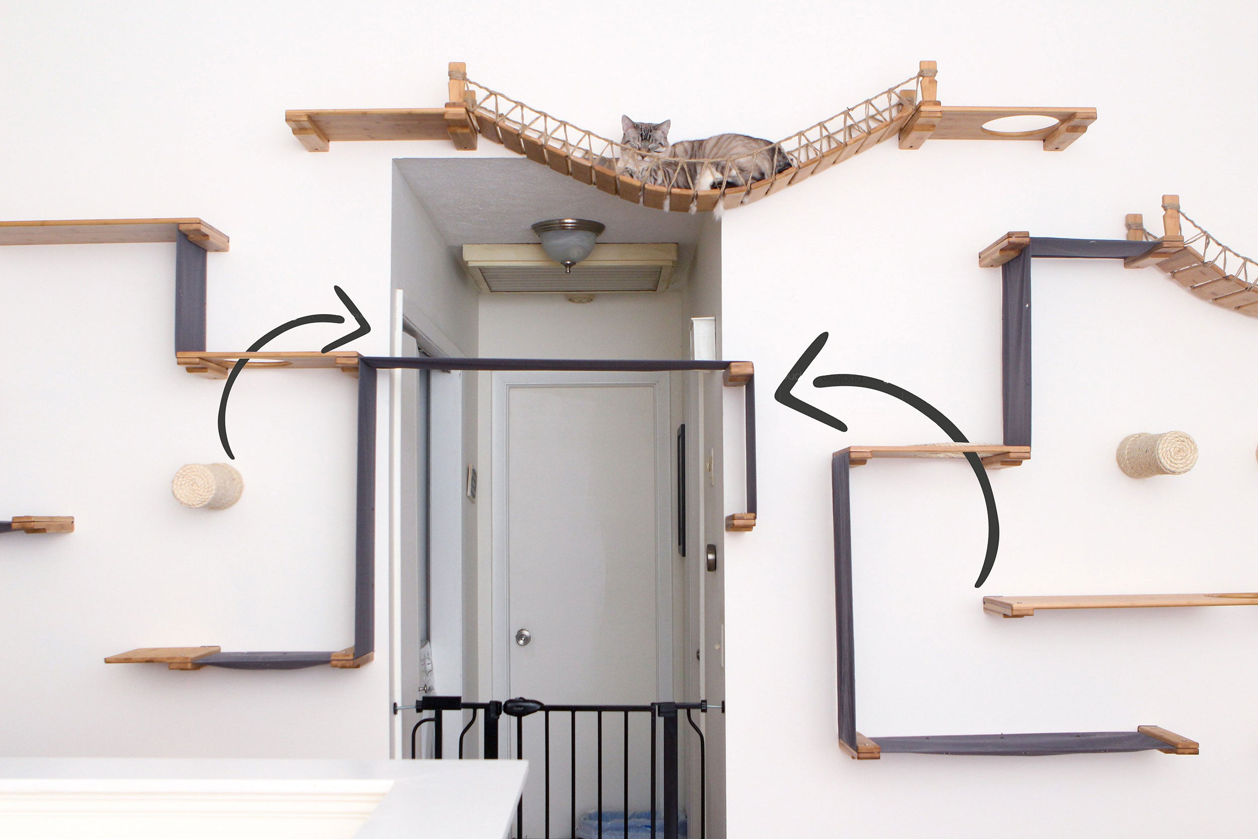Cat Wall Design 101 Diy Cat Wall Ideas
